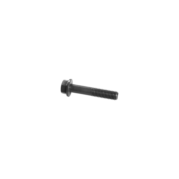 Product: FLANGE SCREW